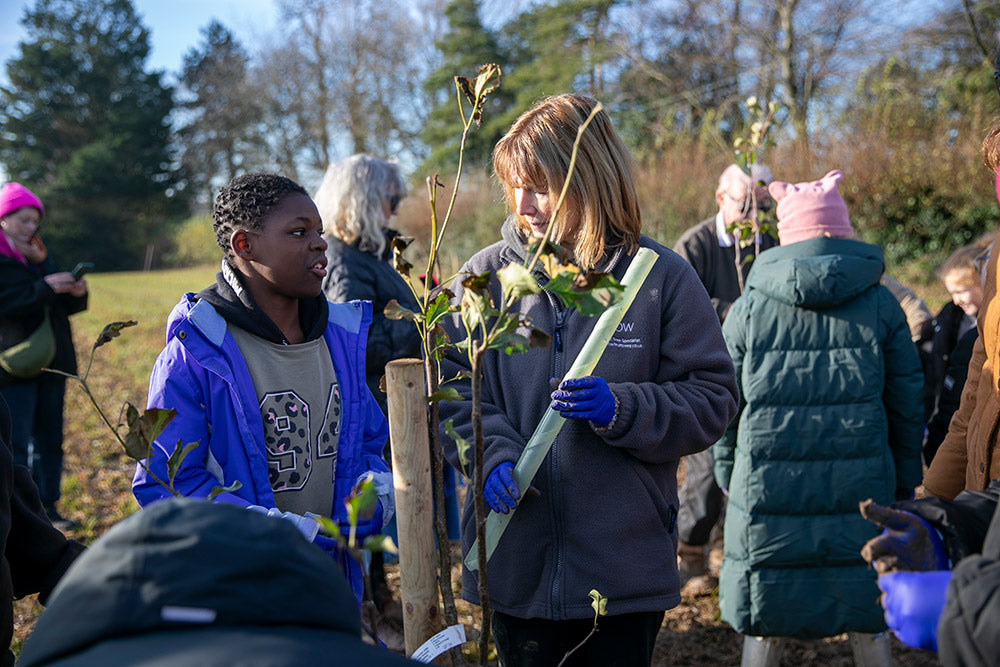 Grow Fruit Trees
