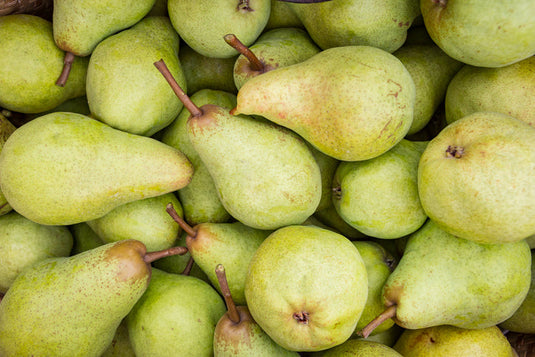 Grow Fruit Trees