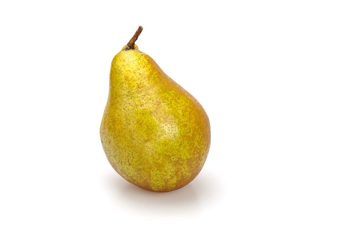 Packham's Triumph Pear - Espalier (1 Tier) – Grow Fruit Trees